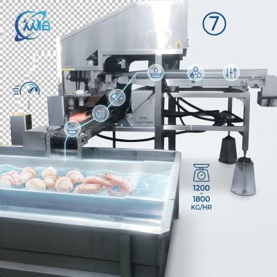 China High Output Shrimp Processing Machine Hygienic SUS304 500-800KG 0.8KW 220V For Seafood Export Company for sale