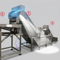 China Latest Shrimp Processing Equipment SUS316 800-1000KG 7.5KW 50Hz For Catering Factory for sale
