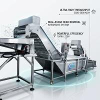China Precision Shrimp Head Screening Machine Anti Corrosive SUS316 800-1000KG 2.2KW 380V for sale