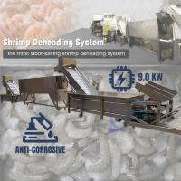 China Advanced Shrimp Head Separation Machine SUS304 2000-2500KG 15KW 440V For Seafood Export Company for sale