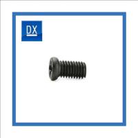 China Blackened Titanium Self Tapping Screws Ruthenium Iridium Coated for sale