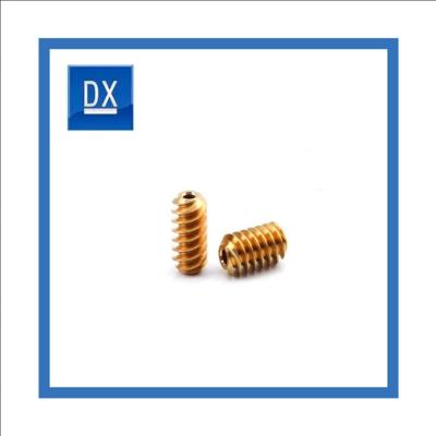 China Copper Anodizing Brass Worm Gear For Heavy Duty Equipment for sale