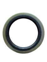 China Lippert Style Trailer Seals Wheel End Oil Seal 10000lb. Axles 2.875
