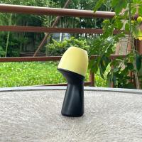 China Special Shape Refillable Roll-On Perfume Bottles Plastic Roll-On Bottles For Aromatherapy Blends for sale