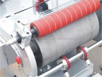 China Automatic High Speed Roll Sticker Die Cutting Machine for sale