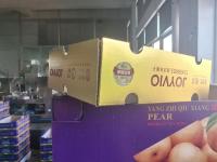 China Fully Automatic Multifunctional Fruit Box Folding Machine for sale