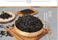 China Long elliptic or elliptic leaves, green, shiny, uplifted, microwave margin, slightly folded or flat, apical acuminate, s for sale