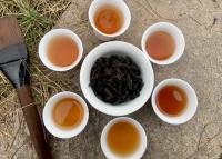 China Embark on a Healthier Journey with a 3-5 Minutes Brewing Time Healthy Alternative To Tea for sale