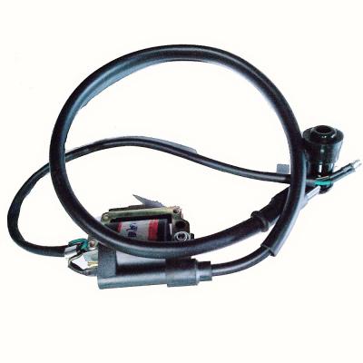 China Stable Performance Motorcycle Electrical Accessories , DY100 12V Motorcycle Ignition Coil for sale