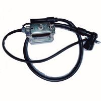 China Stable Performance Motorcycle Electrical Accessories , DY100 12V Motorcycle Ignition Coil for sale