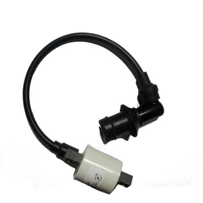 China DT100 Motorcycle Electrical Spares / Ignition Coil Sample Order Accepted for sale