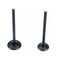 China Grade A Aftermarket Motorcycle Engine Valve For BAJAJ 3W4S CNG 175CC Model for sale