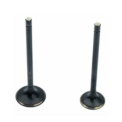 China Grade A Aftermarket Motorcycle Engine Valve For BAJAJ 3W4S CNG 175CC Model for sale