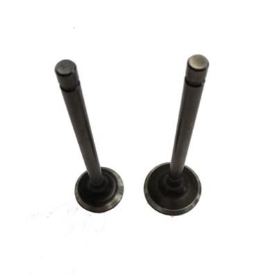 China Professional supplier Abroad/Oversea for sale bajaj 175 Valve for sale
