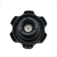 China Auto Parts for Chevrolet CRUZE ALPHEON OE NO. 13502353 Water Tank Cover Radiator Cap for sale