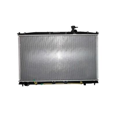 China Aluminum Water Tank for Hyundai Santa Fe 2.7 2007-2009 Year 25310-0W000 Cooling System for sale