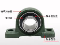 China Gcr15 Open Sealed Flange Pillow Block UCPX05 UCPX07 UCPX08 UCPX09 UCP X00 Series for sale