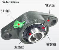 China Heavy Duty Pillow Block Bearings UCFL305 UCFL307 UCFL309 Miniature UCFL300 Series for sale