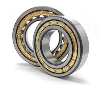 China NU205 Gcr15 Rolling Contact Bearing NU 220 Single Row NU200 Series for sale