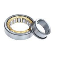 China Full Complement Cylindrical Roller Bearings NJ205 NJ220 NJ200 Series for sale