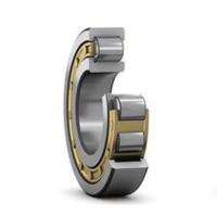 China Nup Cylindrical Roller Bearing Gcr15 NUP220 Single Row Nup205 Bearing NUP200 Series for sale