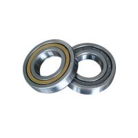 China High Speed Cylindrical Roller Bearings N205 N220 N200 Series Gcr15 N206 Bearing for sale