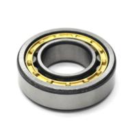 China Cylindrical N204 N206 N208 N200Series N205 N220 Cylindrical Taper Roller Bearing for sale