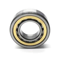 China Cylindrical N204 N206 N208 N200Series N205 N220 Cylindrical Taper Roller Bearing for sale