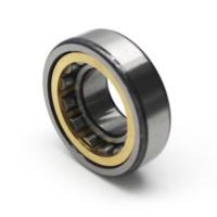 China NJ200 Series Cylindrical Needle Roller Bearing NJ206 NJ208 NJ210 Single Row for sale