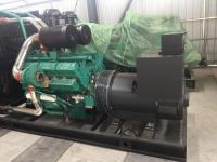 China 400V Shanghai Shendong Diesel Generator Set with Static Speaker and Auto Start System for sale