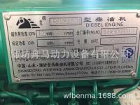 China 120 kW Weifang Diesel Generator Set with Frequency 50/60HZ and Water Cooling System for sale