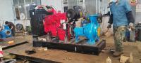 China 200KW Kangmingsi Water Pump Unit Diesel Generator Set with ISO9001 Sound Attenuated Enclosure and Air Filter for sale