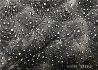 China 220gsm 79%Polyester + 21%Spandex Sport Bra Fabric for Circular Knit for sale