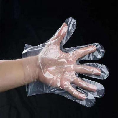 China Plastic Polythene PE Disposable Medical Gloves Food Safe Universal Size Eco Friendly for sale
