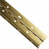 China Brass Plated Continuous Piano Hinge Partial Wrap Slotted For Bending Metal Door for sale