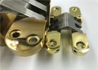 China Front Door Stainless Steel Concealed Hinges With PVD And GP Coated for sale