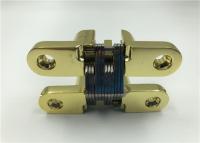 China High Hardness Heavy Duty Piano Hinge / OEM SOSS Hinges For Hidden Doors for sale