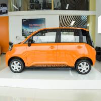 China Pocco Duoduo Mini Electric Car 170km Range 110 N·m Torque 4 Door 5 Seat LHD for sale