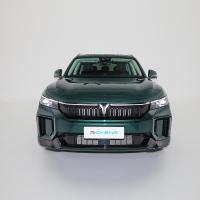 China 2024 Voyah Free Extended Range Electric SUV 4WD 4905mm Luxury Hybrid Car 1201km Range for sale