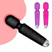 China Dual Head Wand Massager 10 Vibrations USB Rechargeable Sex Toy for Women 22cm for sale