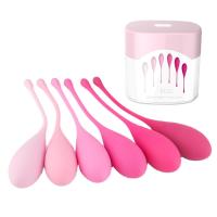 China Kegel Balls Set 6pcs Silicone Stainless Steel Pelvic Floor Exercise Weights for Tightening for sale