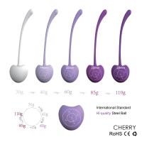 China Medical Silicone Kegel Exercise Balls Set of 5 Weights 30g to 110g Pelvic Floor Trainer for sale
