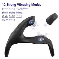 China Male Sperm Lock Ring Delay Training Vibration Set Couple Resonance Emotional Adult Products 220mAh USB Magnetic Charging for sale