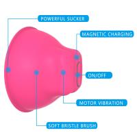 China Women Breast Vibrating Sex Toy Silicone 12 Modes IPX7 Waterproof USB Rechargeable Nipple Sucking Massager for sale