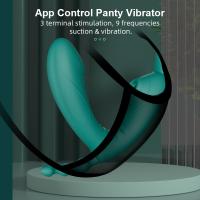 China Wearable Bullet Vibrator with APP Control 9 Frequencies G Spot Panty Vibrator for Women for sale