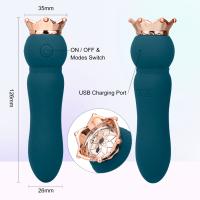 China Rechargeable Crown Bullet Vibrator Safe Silicone 10 Frequency G Spot Clitoral Stimulator 130mm for sale