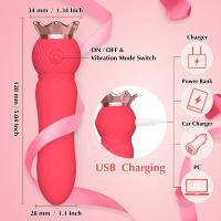 China Rechargeable Crown Bullet Vibrator Safe Silicone 10 Frequency G Spot Clitoral Stimulator 130mm for sale