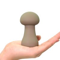 China Rechargeable Silicone Mushroom Vibrator 10 Speed Modes Adult Massager for Women for sale