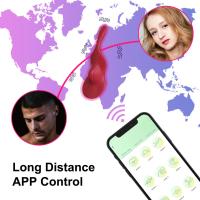 China App Controlled Wearable Panty Vibrator 9 Speeds USB Rechargeable Silicone IPX7 Waterproof 80g for sale