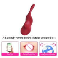 China App Controlled Wearable Panty Vibrator 9 Speeds USB Rechargeable Silicone IPX7 Waterproof 80g for sale